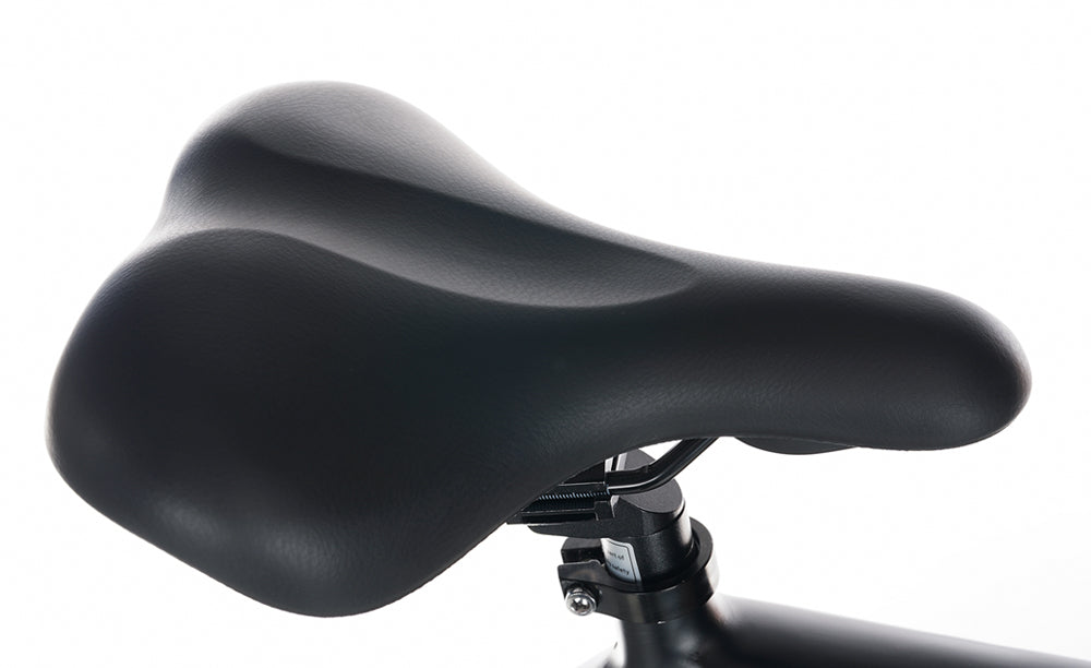 Valenti X5 Elektrische fiets dames zwart – Rivena.nl